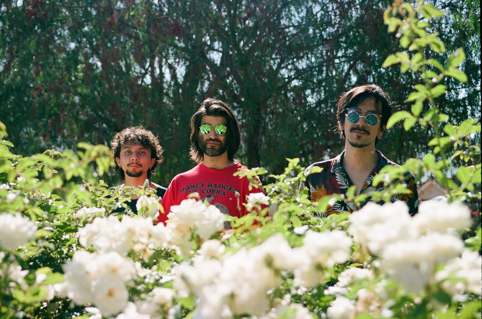 Jemmy Button lanza su esperado disco "Carrusel" - Música y Espectáculo